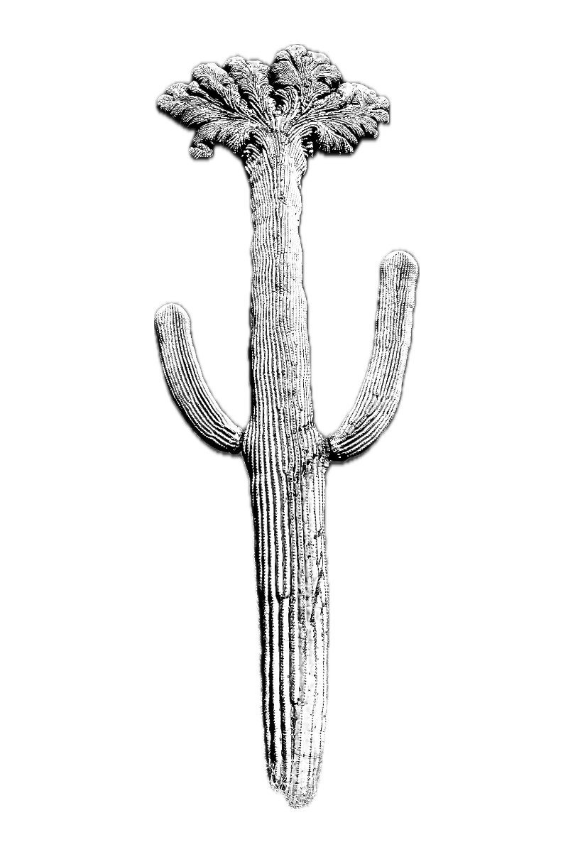 Classic - Full Color