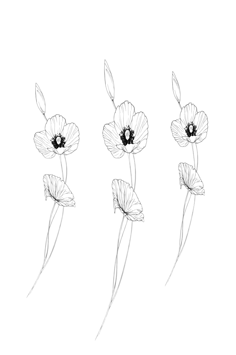 Semi-Permanent - Black Line Only