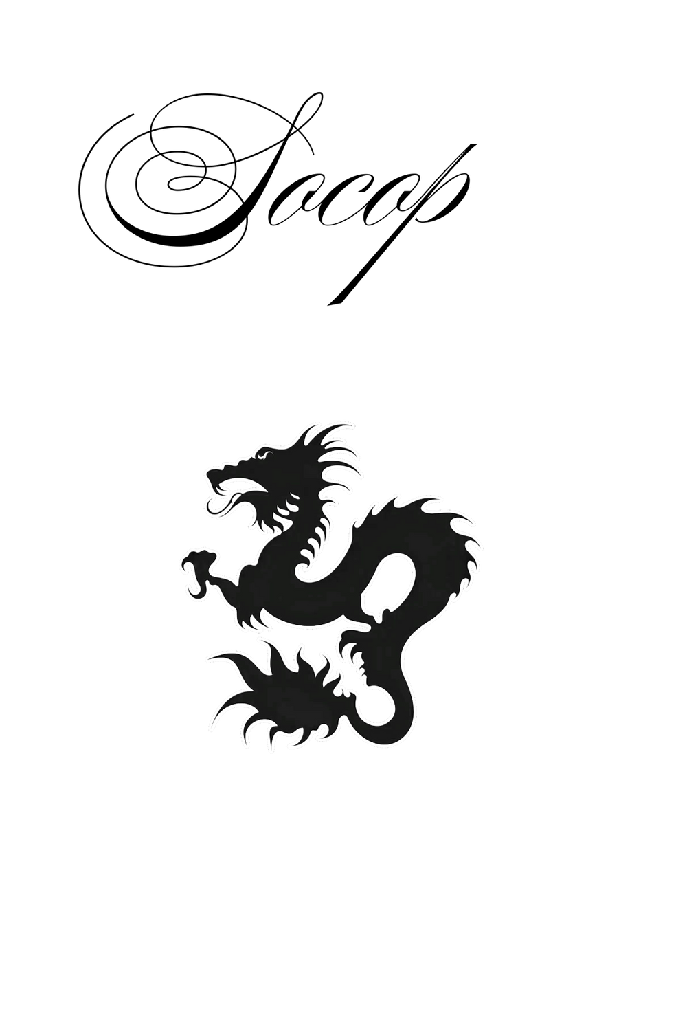 Semi-Permanent - Black Line Only