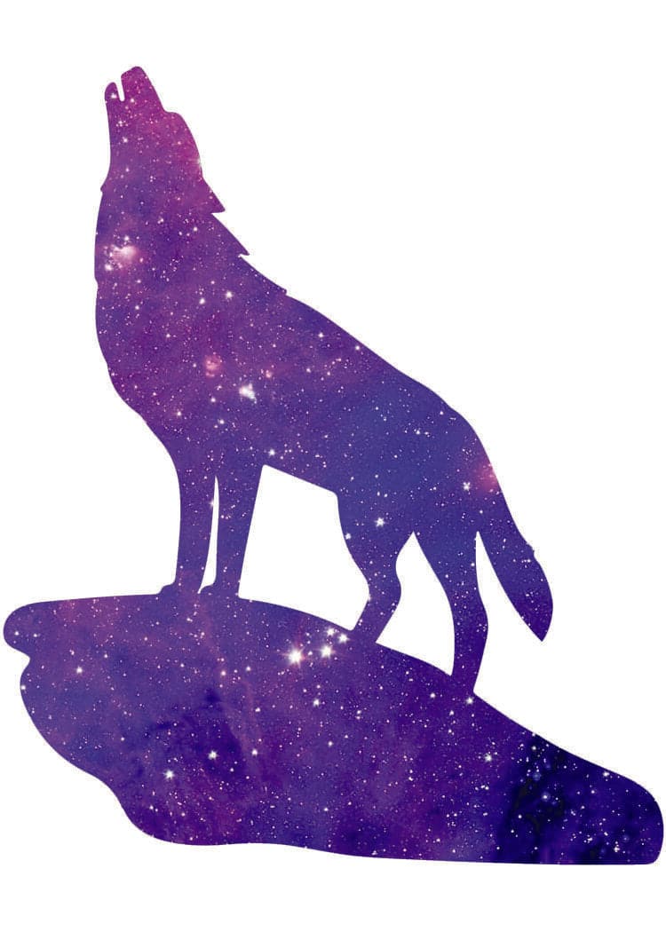 Galaxy Wolf Temporary Tattoo